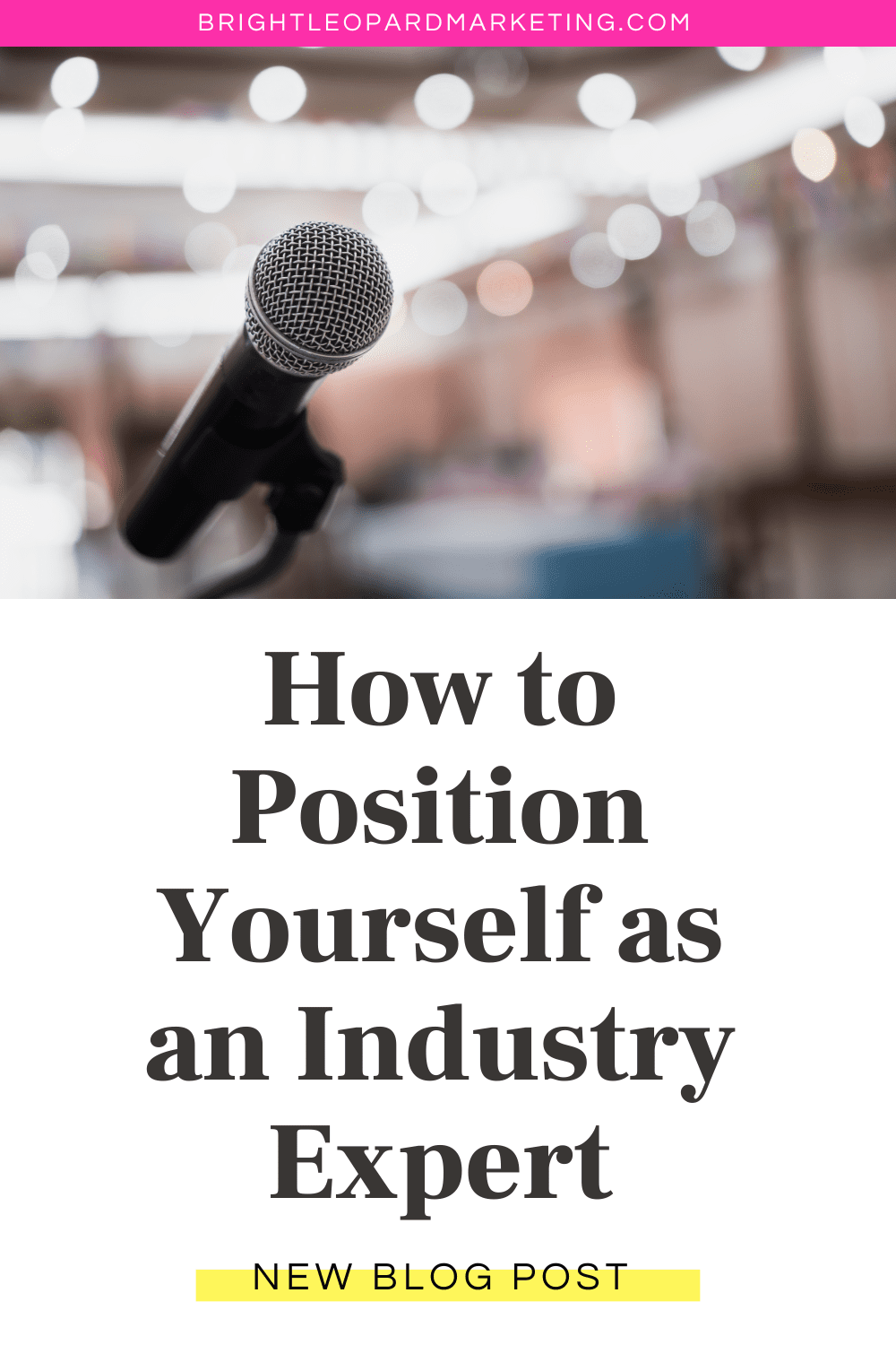 How to Position Yourself as an Industry Expert and Build Trust with ...